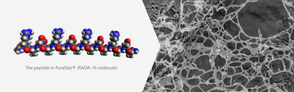 PuraStat – Dastavarde Sina